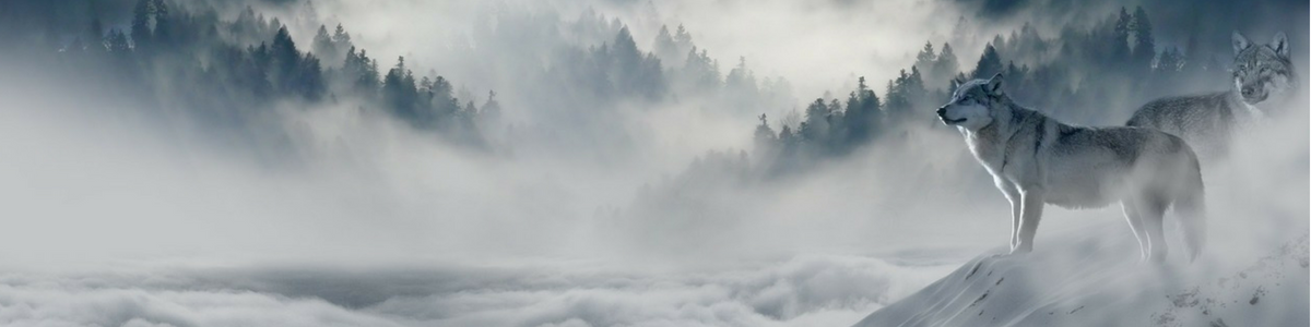 Tattoo de Lobos: 23 ideias para se apaixonar - Blog Tattoo2me