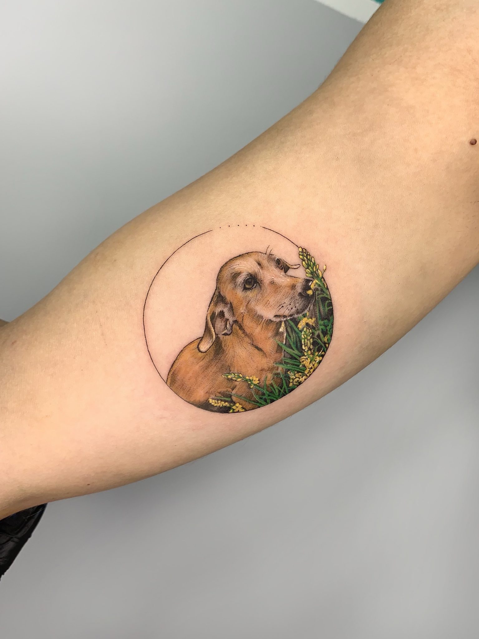 Tatuagem em Micro realismo: estilo que cativou o Brasil - Blog Tattoo2me